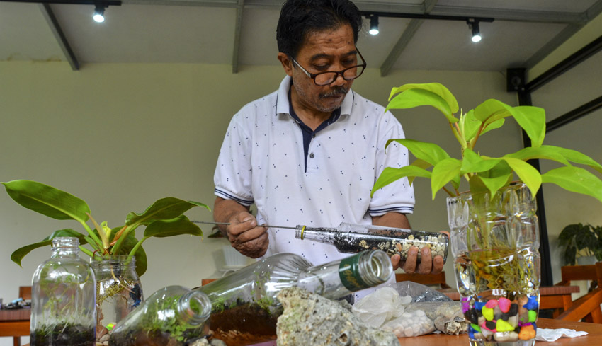 NUSABALI.com - Budidaya Tanaman Hias Terarium dalam Botol