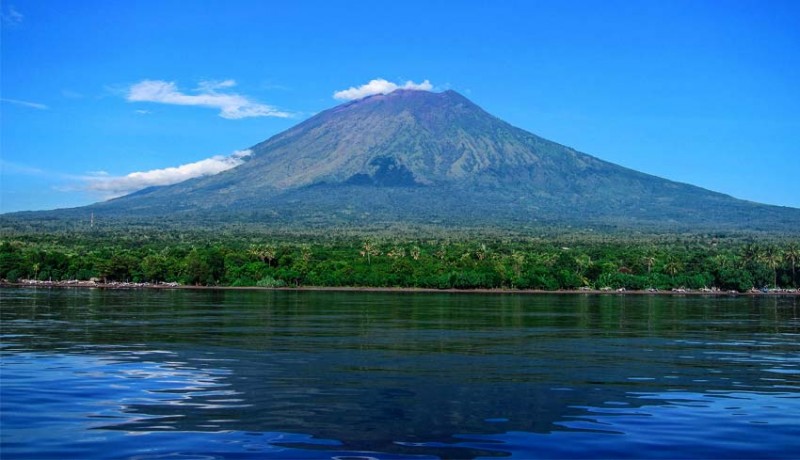 NUSABALI.com - Bisnis Hortikultura Terimbas NUSABALI.com - Bisnis Hortikultura Terimbas